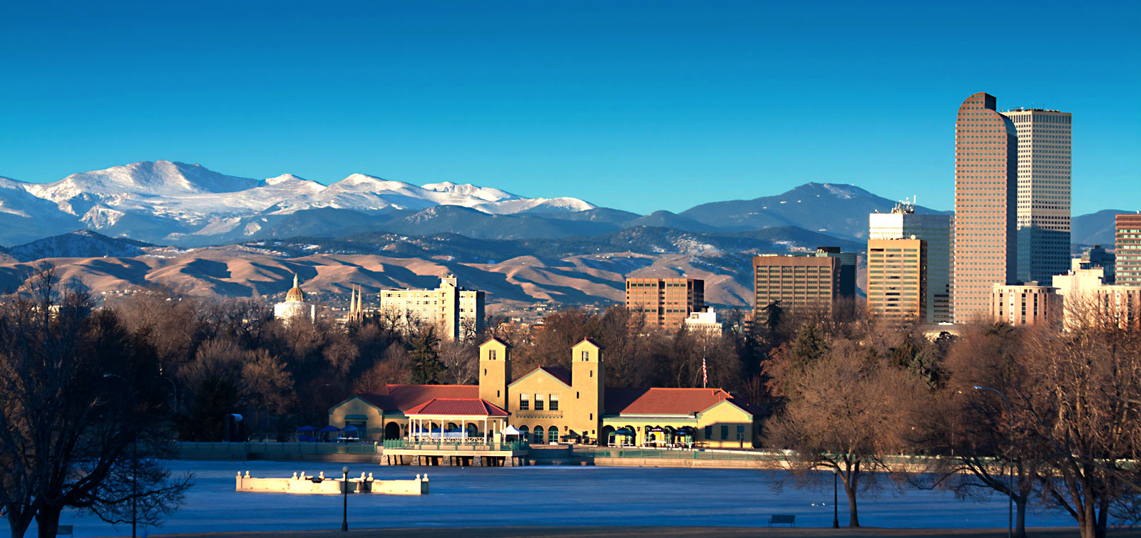 Contact Us | Spectrum Search Partners